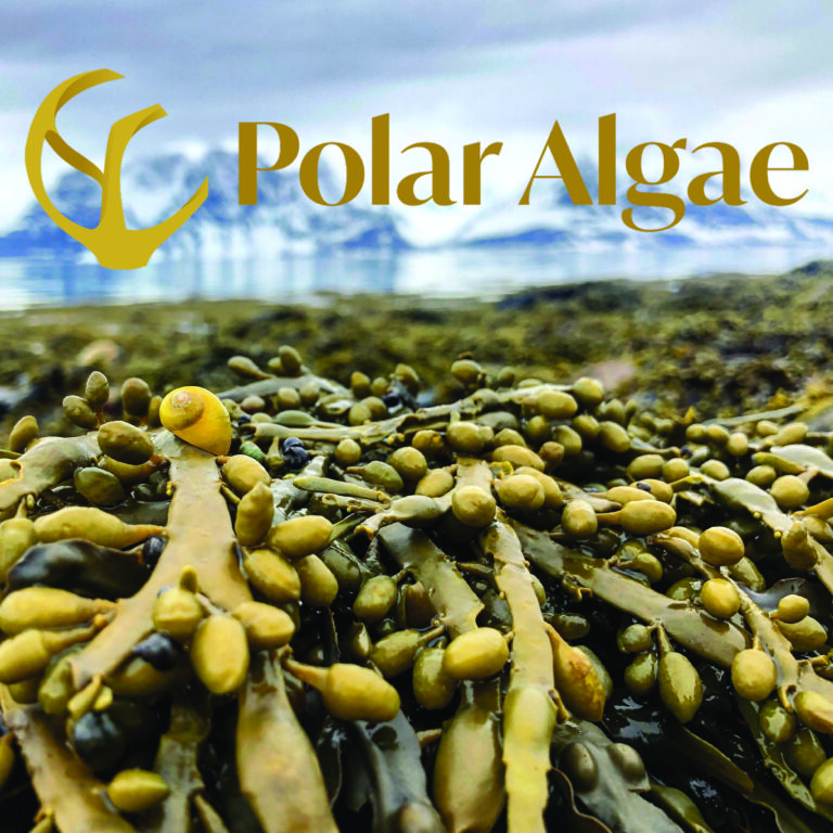 Webinar Dec. 12th at 14:00: Polar Algae on producing value added ...