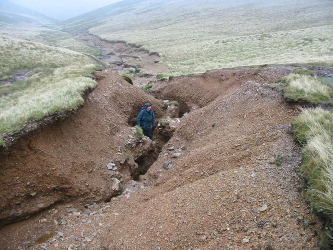 Ecological Restoration of Upland Areas: Revegetation and Damage ...